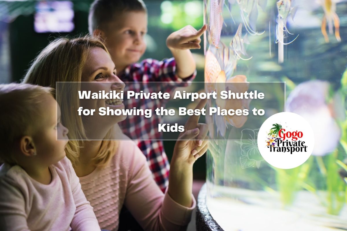 Waikiki Private Airport Shuttle for Showing the Best Places to Kids